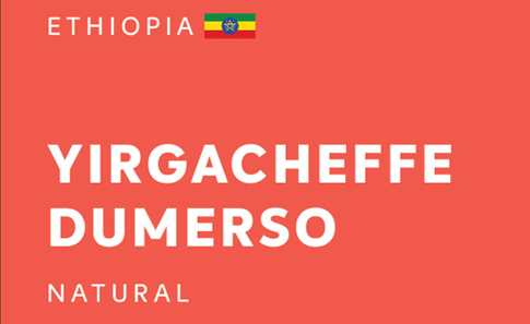Ethiopia Yirgacheffe Dumerso G1 Natural 衣索比亞耶加雪夫杜梅索G1阿茲特爾德梅克小農精選日曬咖啡豆 ...